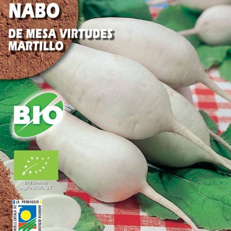 Semilla ecológica nabo virtudes martillo