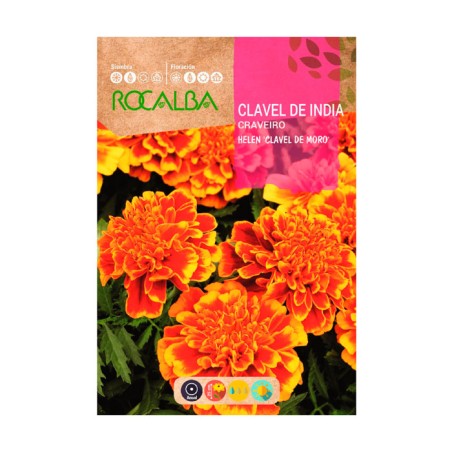 Semillas clavel de india helen doble enano |semillas clavel de india ...