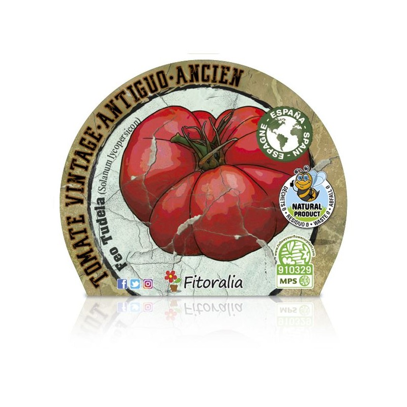 Tomate feo tudela certificado M.P.S. | comprar tomates sabrosos