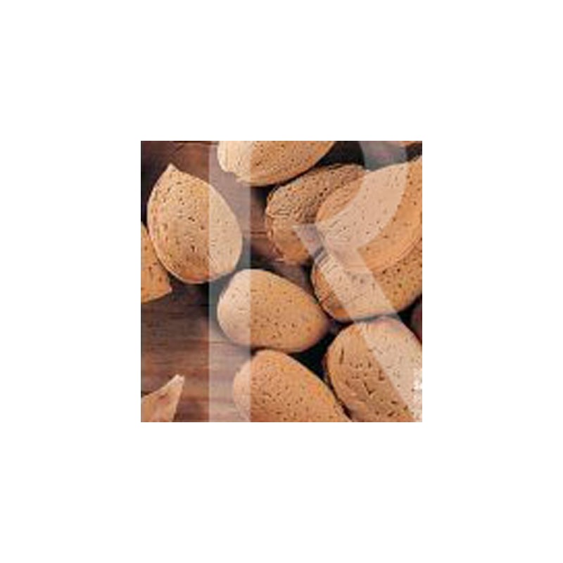 Almendro guara | almendra guara | comprar almendros | viveros frutales